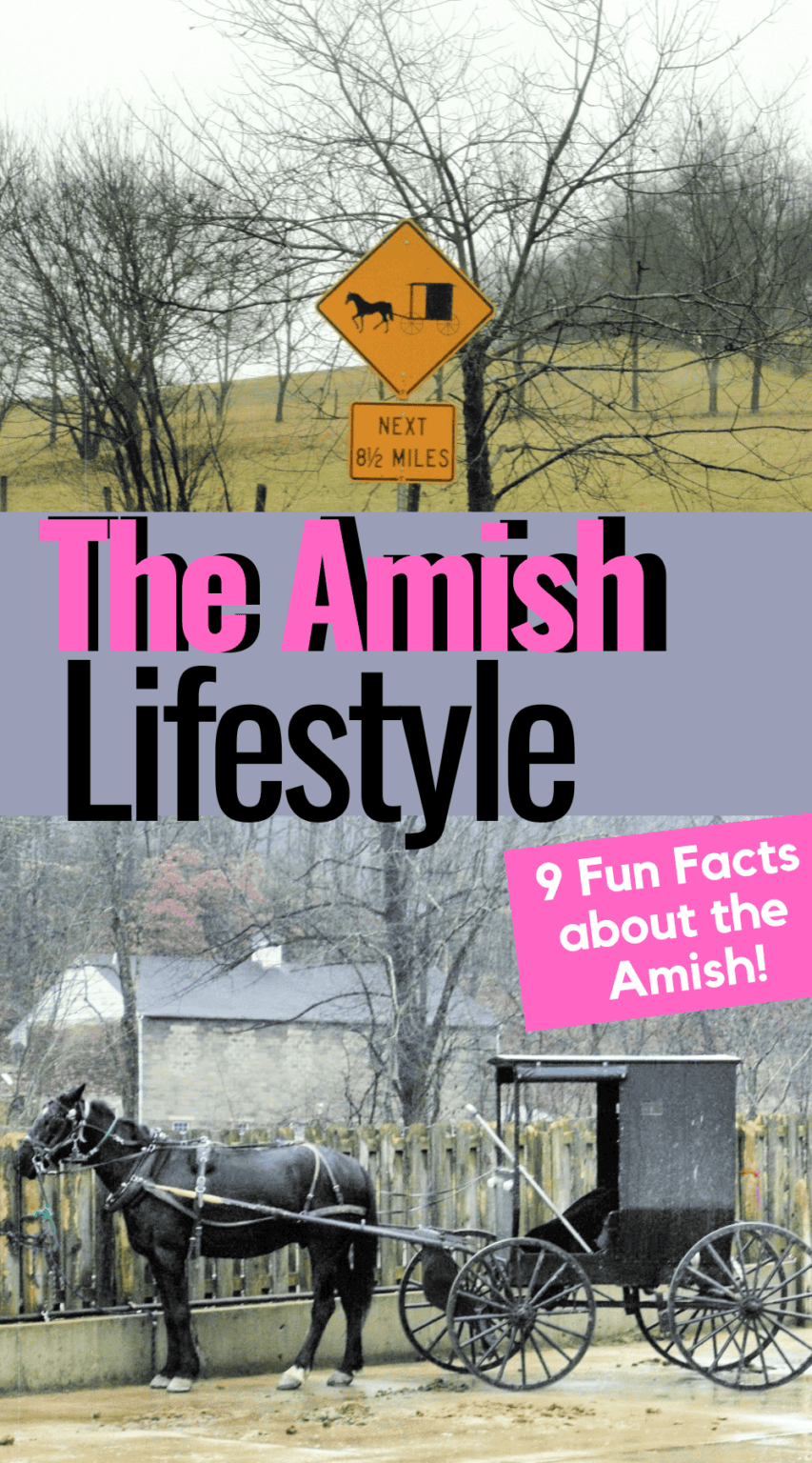 Things I Learned About The Amish Culture - Idie's Farm