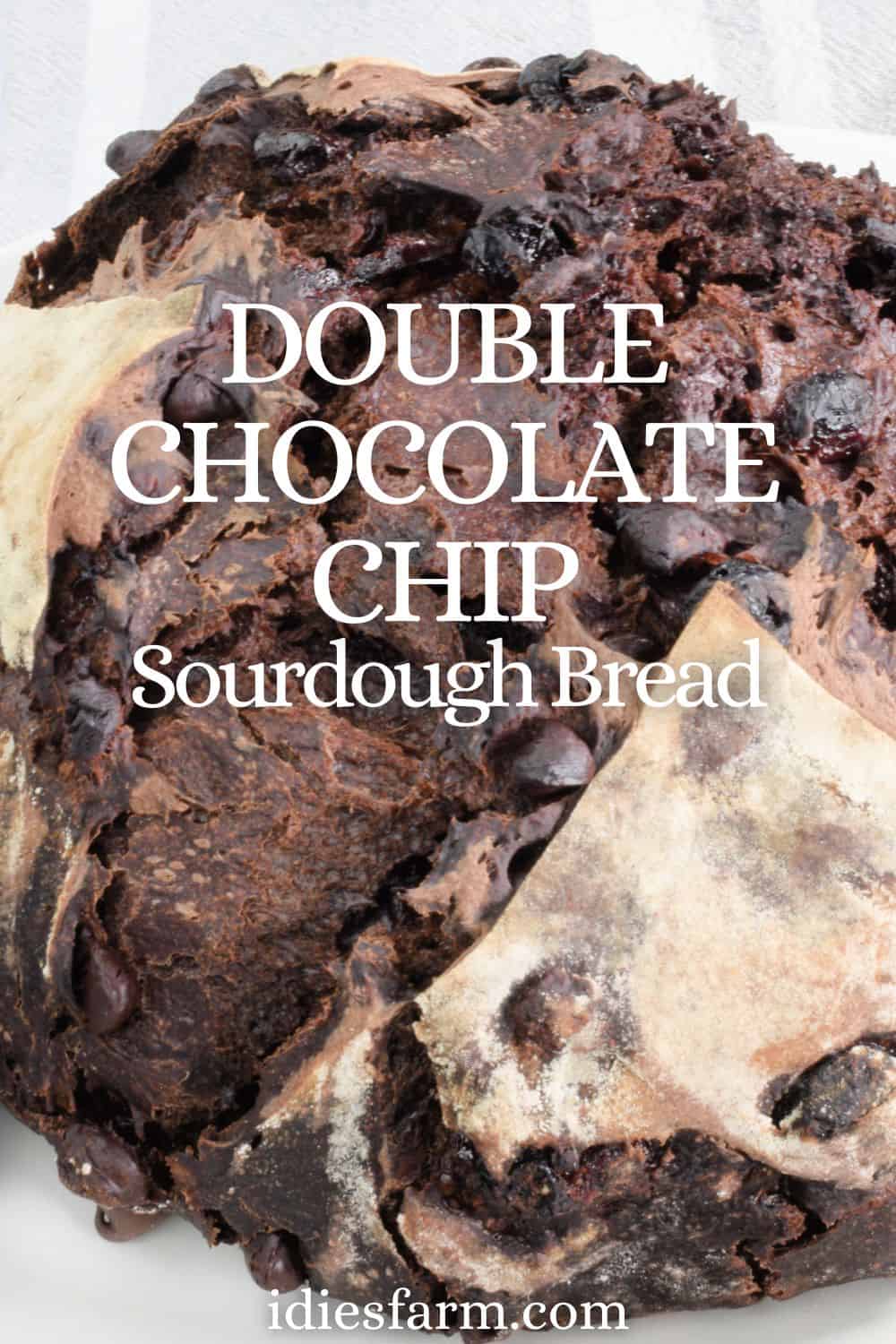 Double Dark Chocolate Cherry Sourdough Bread Recipe - Idie's Farm