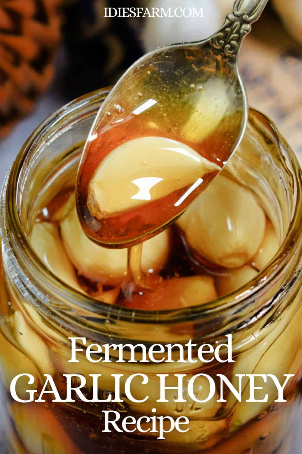 Fermented Garlic and Honey Easy Homemade Recipe - Idie's Farm