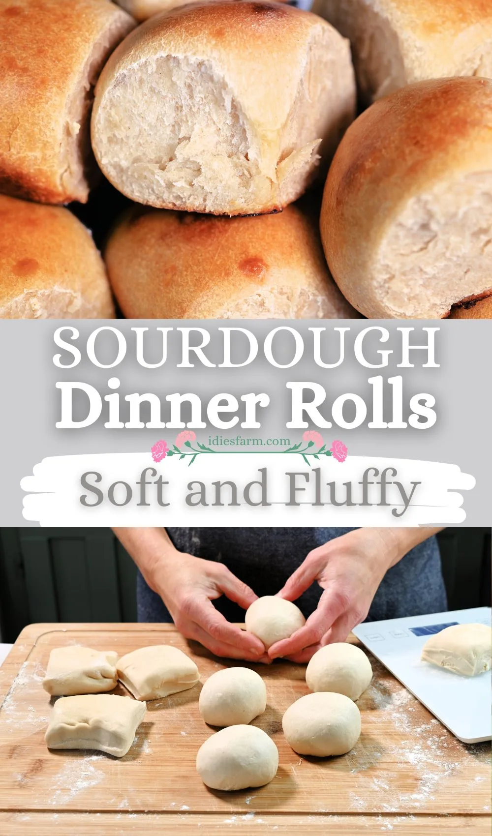 Super Soft and Fluffy Sourdough Dinner Rolls Recipe - Idie's Farm