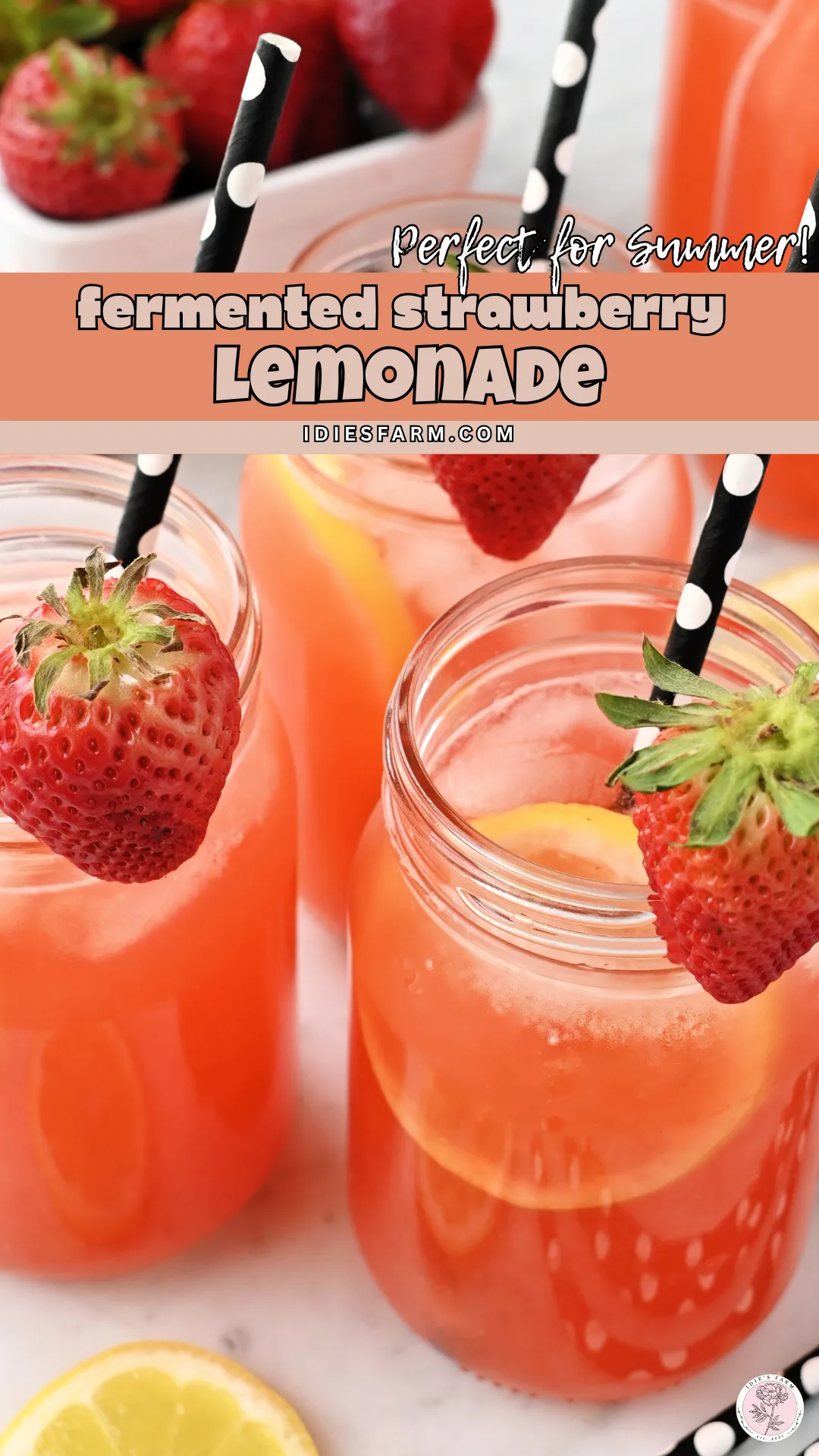 Easy Lacto Fermented Strawberry Lemonade Recipe - Idie's Farm