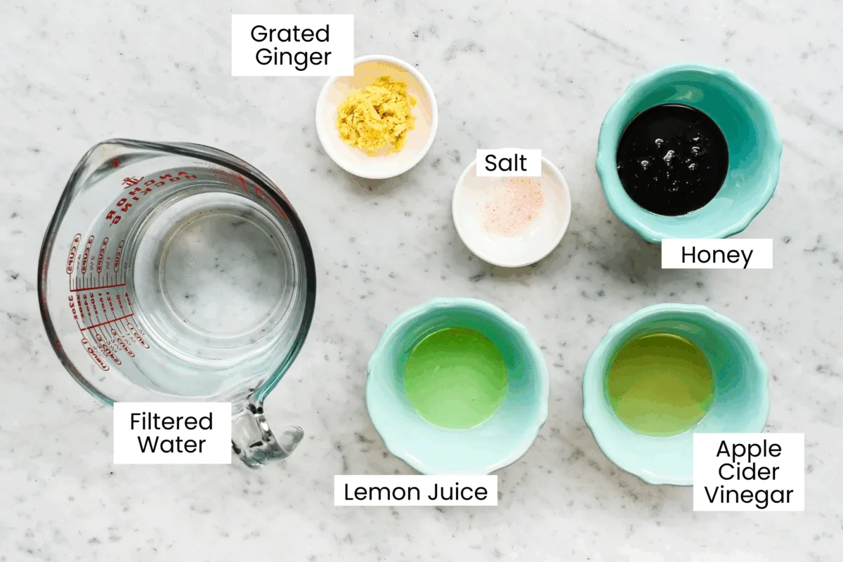 Old-Fashioned Haymaker’s Punch Recipe (How to Make Switchel at Home ...