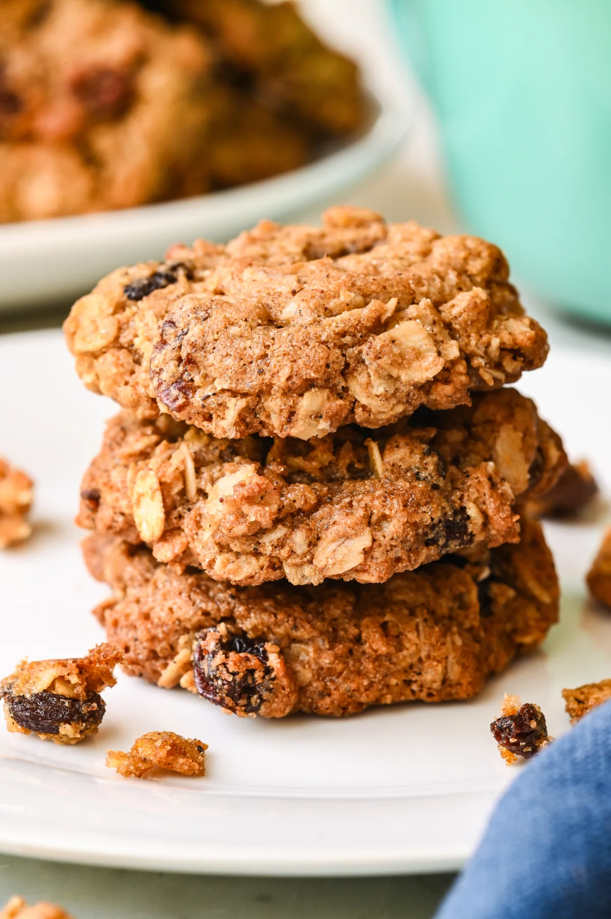 Healthy Oatmeal Raisin Cookies (With All-Purpose or Fresh Milled Flour ...