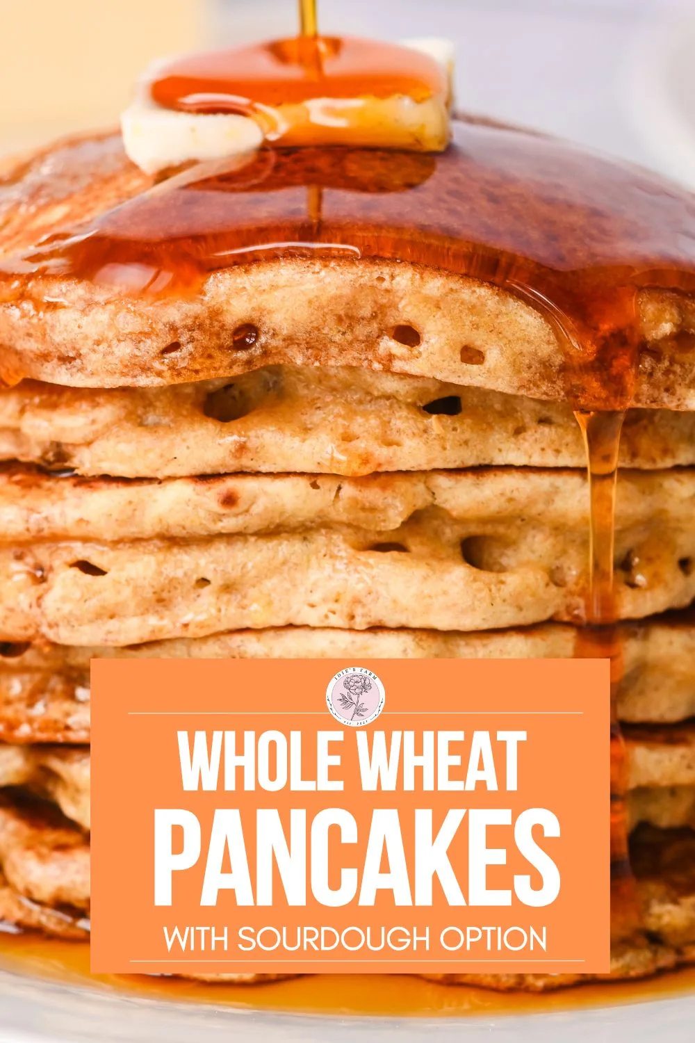 Whole Wheat Pancakes Recipe with Fresh Milled Flour and Sourdough ...